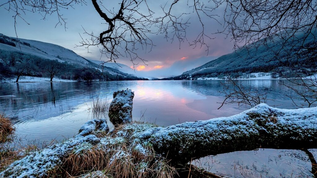 Abdur Rahman Name Meaning and Origin - frankiepeach.com