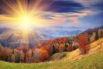 Meaning, Origin And History Of The Name Akane - frankiepeach.com