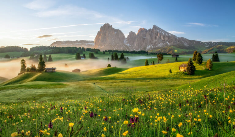 Meaning, Origin And History Of The Name Hotaru - frankiepeach.com