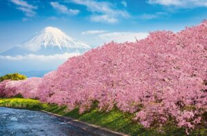 Meaning, Origin And History Of The Name Ichiro - frankiepeach.com