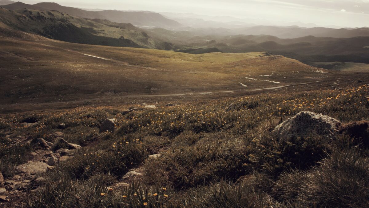 Meaning, Origin And History Of The Name Marshall - frankiepeach.com