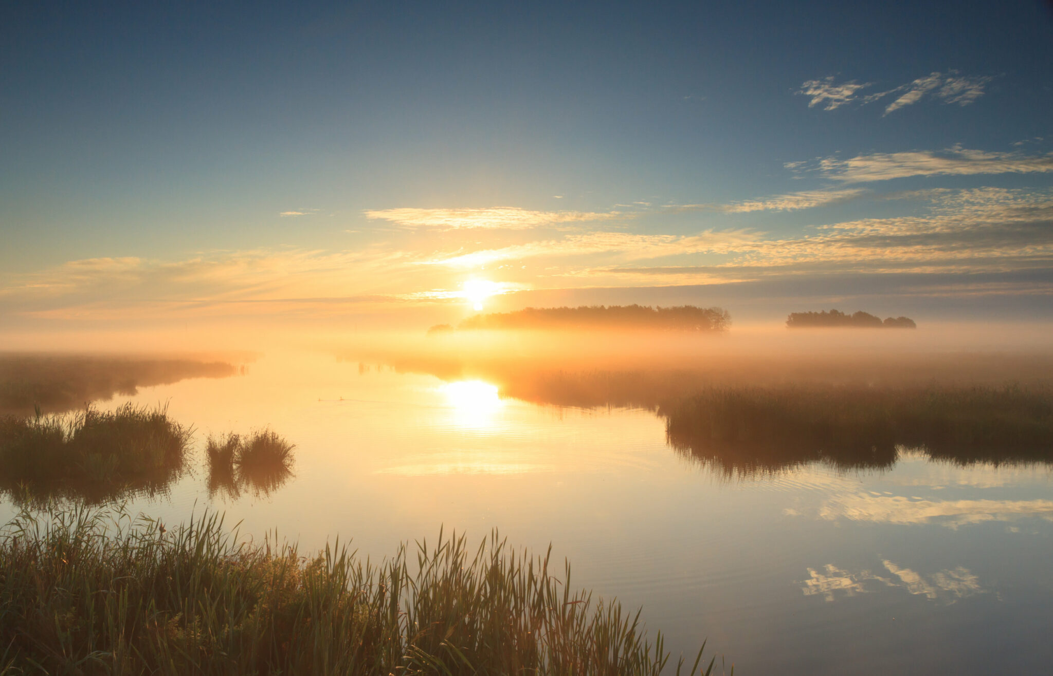 Meaning, Origin And History Of The Name Sahar - frankiepeach.com