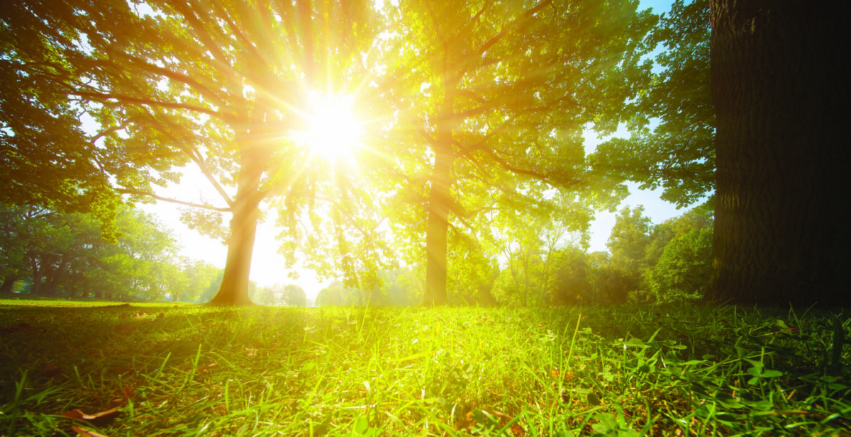 Meaning, Origin And History Of The Name Aliza - frankiepeach.com