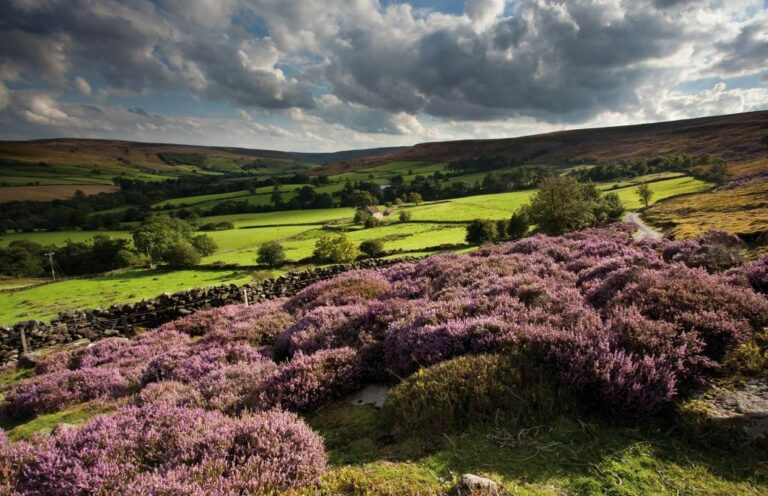 Meaning, Origin And History Of The Name Alwyn - frankiepeach.com