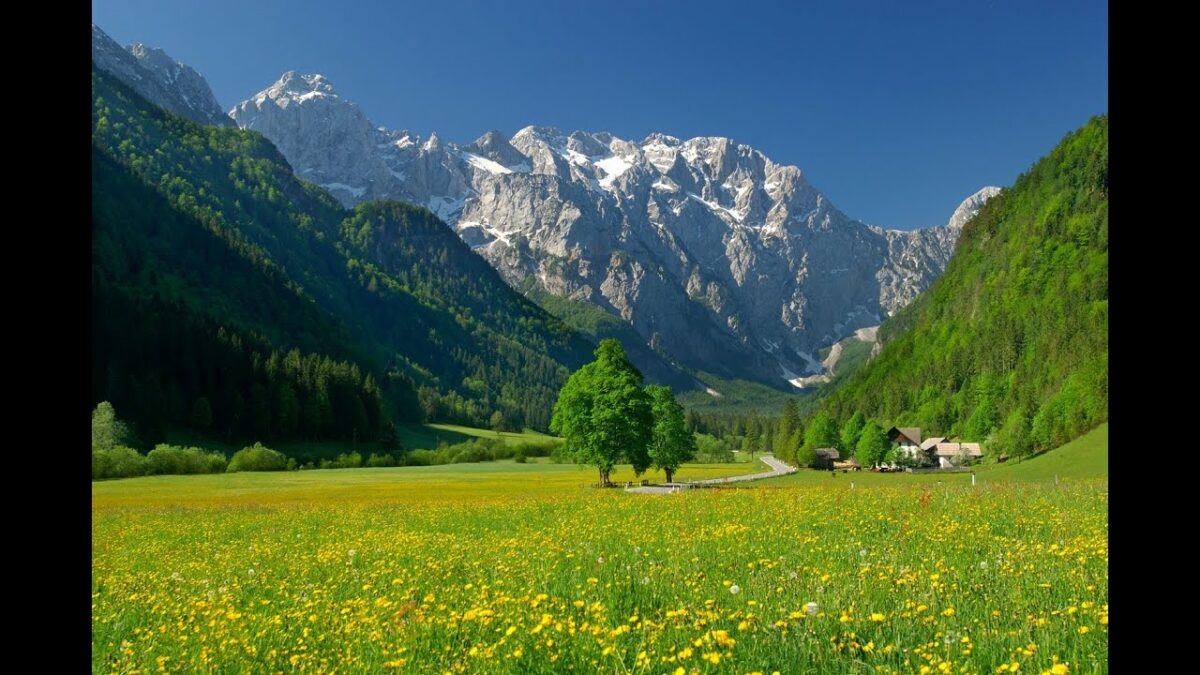 Meaning, Origin And History Of The Name Amirani - frankiepeach.com