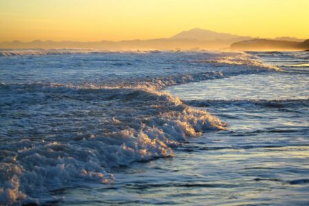 Meaning, Origin And History Of The Name Chile - frankiepeach.com