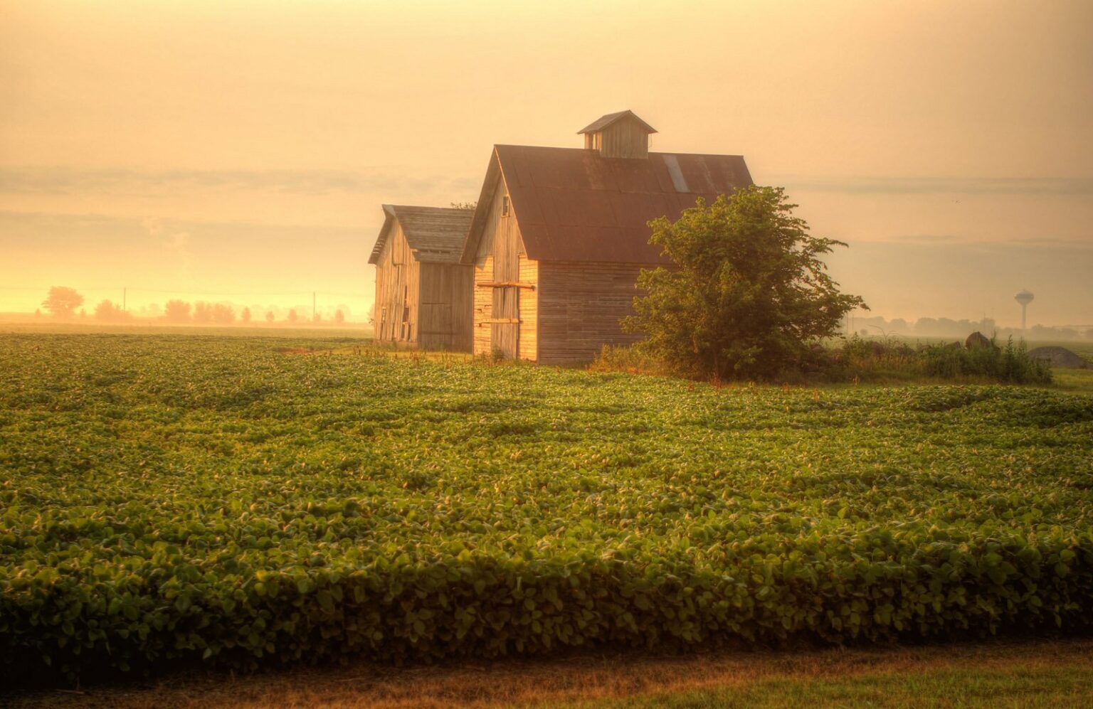 Meaning, Origin And History Of The Name Neno - frankiepeach.com