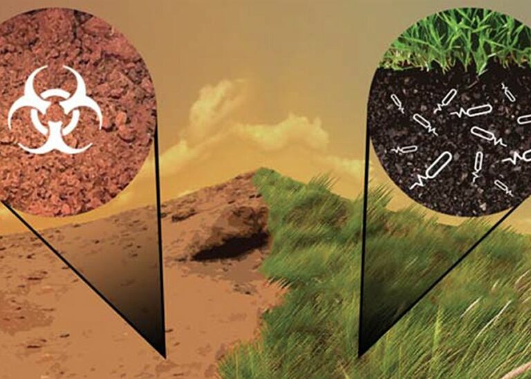 Meaning, Origin And History Of The Name Prospero - frankiepeach.com