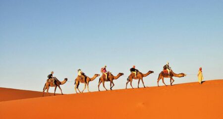 Meaning, Origin And History Of The Name Sheba - frankiepeach.com
