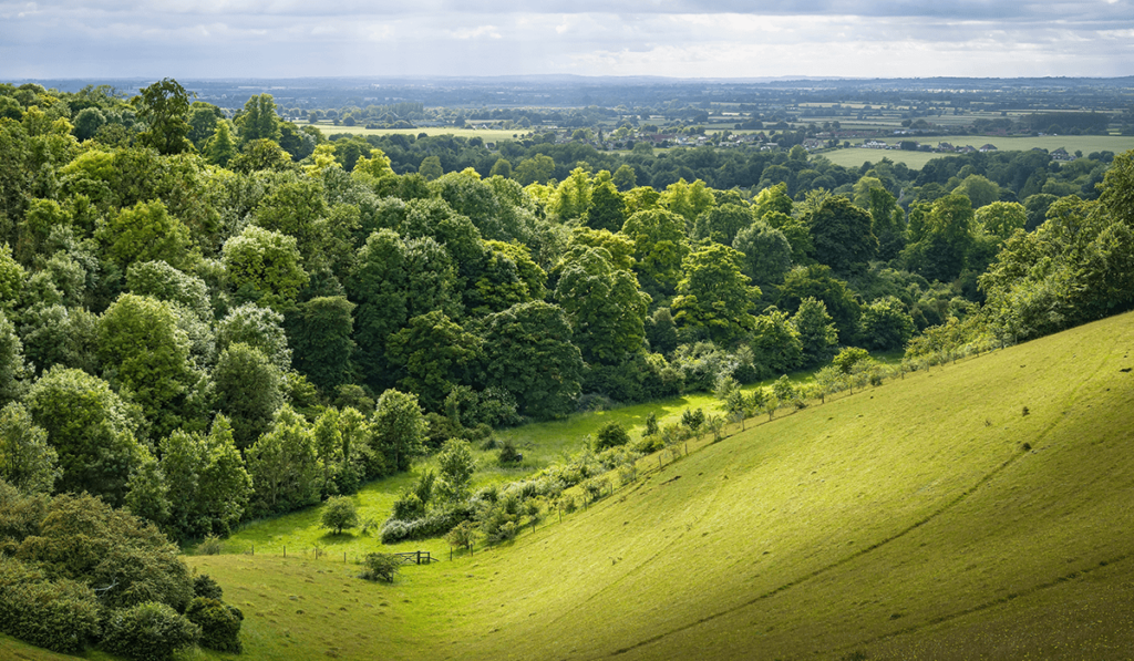 Meaning, Origin And History Of The Name Vaughan - frankiepeach.com